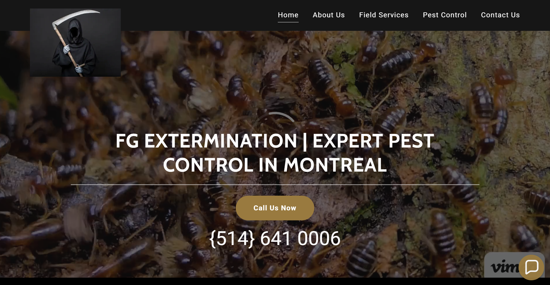 The top 10 Montreal pest control teams we’ve found [2026 ]