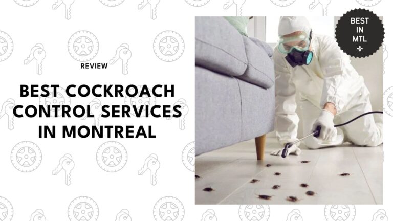5 most effective cockroach control services in Montreal [2025]